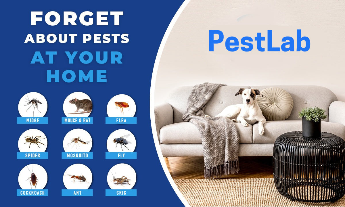 PestLab USO Ultrasonic Pest Repeller | Effective, Safe & Chemical-Free